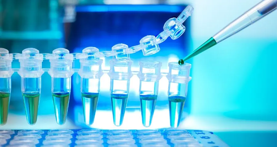 primer-tm-calculator - شرکت زیست ویرایش